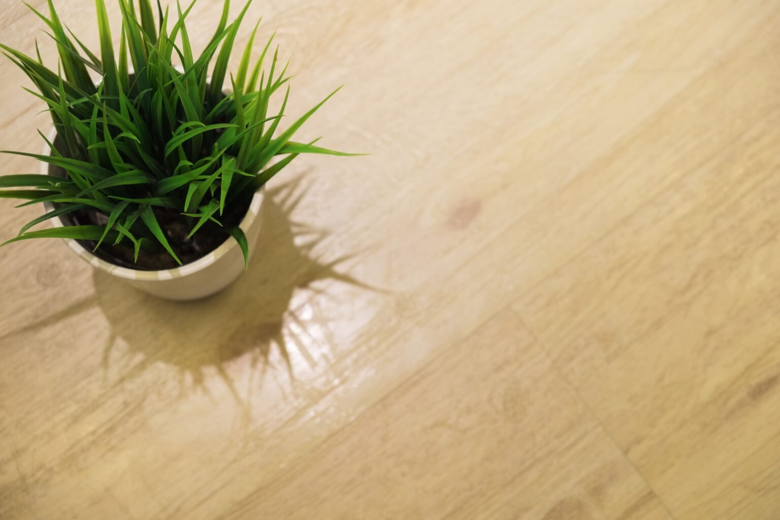 Eco-Friendly Flooring Options for Sustainable Homes - El Dorado Hills ...